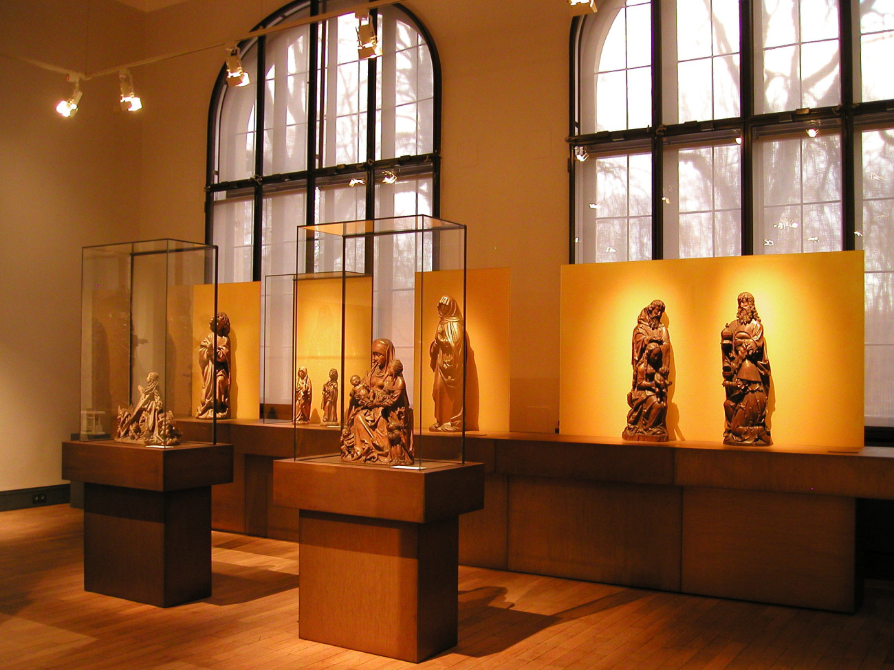 Exponate für Museen | Hirtl´sche Stiftung